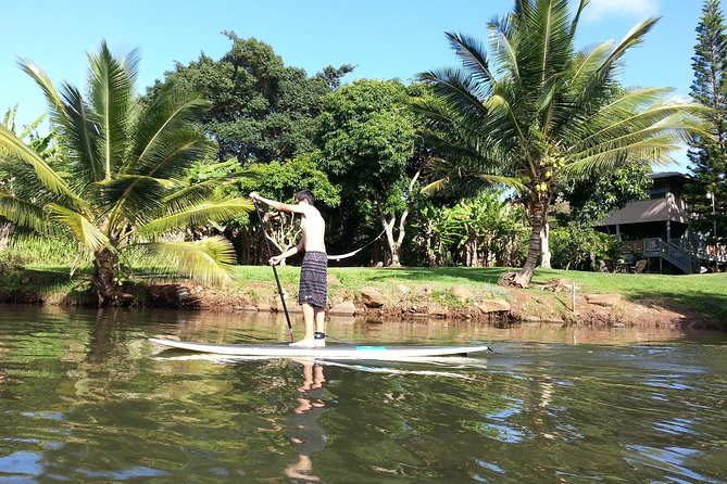 1/2 Circle Island & North Shore Fun with The Surf Bus - Key Points