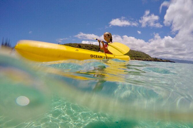 1/2 Circle Island & North Shore Fun with The Surf Bus - The Itinerary Explored: What You Can Expect