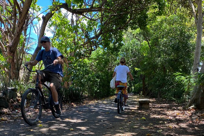 1/2 Circle Island & North Shore Fun with The Surf Bus - Who Should Book This Tour?