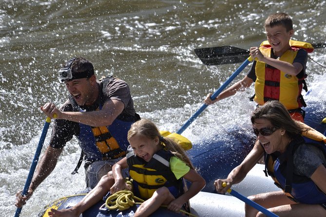 1/2 Day Afternoon Rafting Trip - What the Guides Do Best