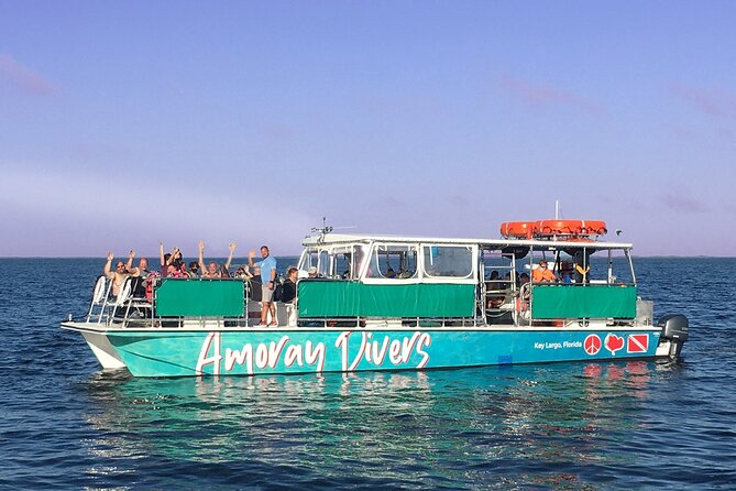 1.5 Hour Bay Side Key Largo Sunset Cruise on a Spacious Catamaran - The Experience: A Deep Dive into the Sunset Cruise