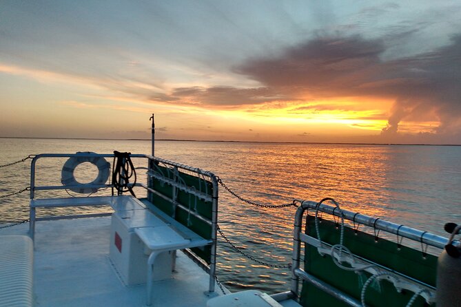 1.5 Hour Bay Side Key Largo Sunset Cruise on a Spacious Catamaran - Practical Tips for Your Sunset Cruise
