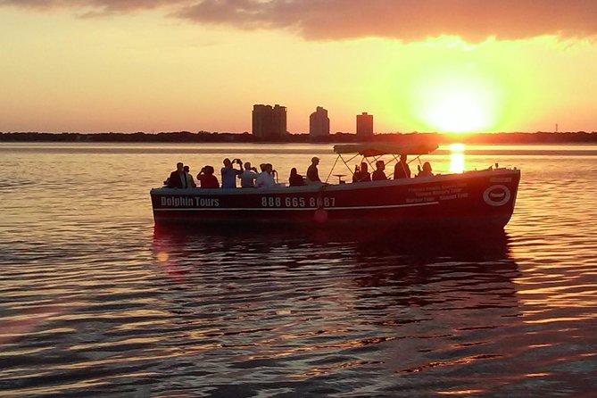 1.5-hour Dolphin Sightseeing Cruise from Tampa - The Experience in Detail