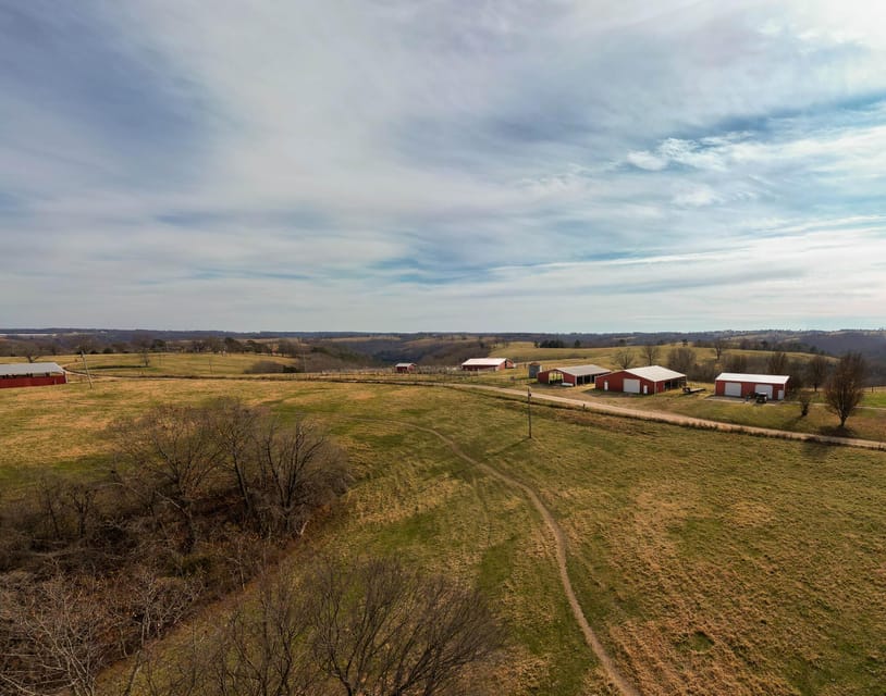 1.5 Hour Guided UTV Tour (2 seater vehicle) - The Experience Provider: Hog Wild Adventures LLC