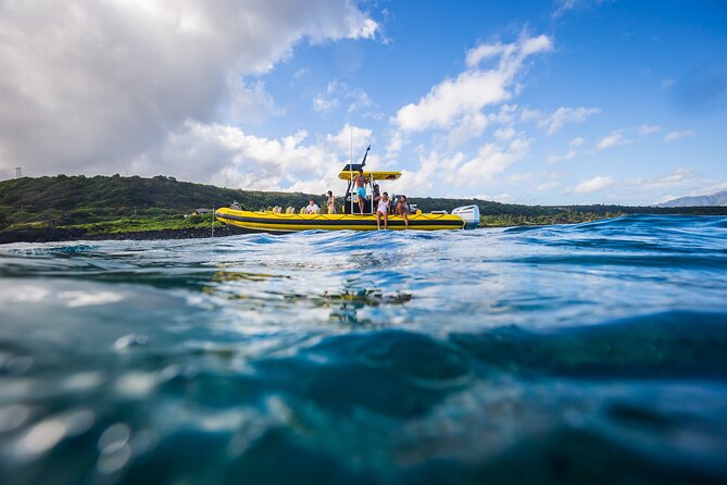 1.5 -Hour Guided Whale and Marine Life Tour - FAQs about the 1.5-Hour Marine Life and Whale Tour