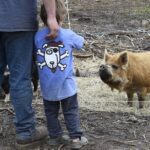 1.5 Hour Immersive Farm Experience in Adirondacks - Final Thoughts: Is It Worth It?
