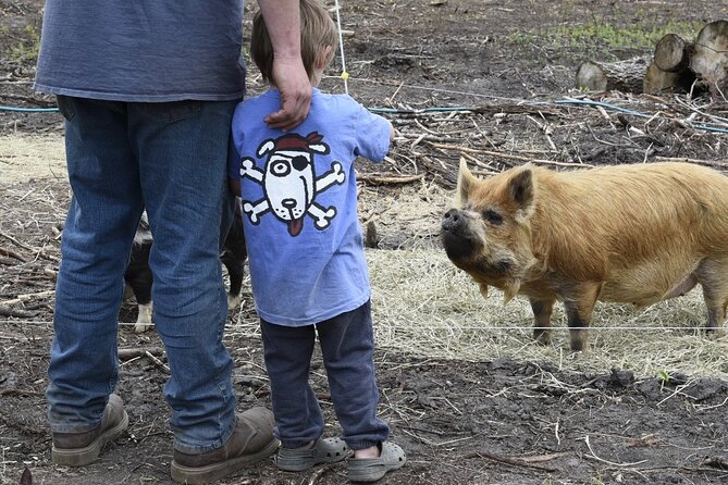 1.5 Hour Immersive Farm Experience in Adirondacks - Final Thoughts: Is It Worth It?