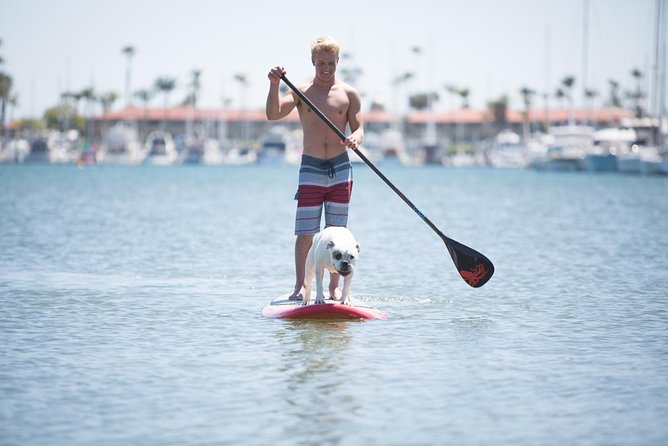 1.5 Hour Paddle Board Rental with Instruction - A Deep Dive into the Fort Lauderdale Paddleboard Experience