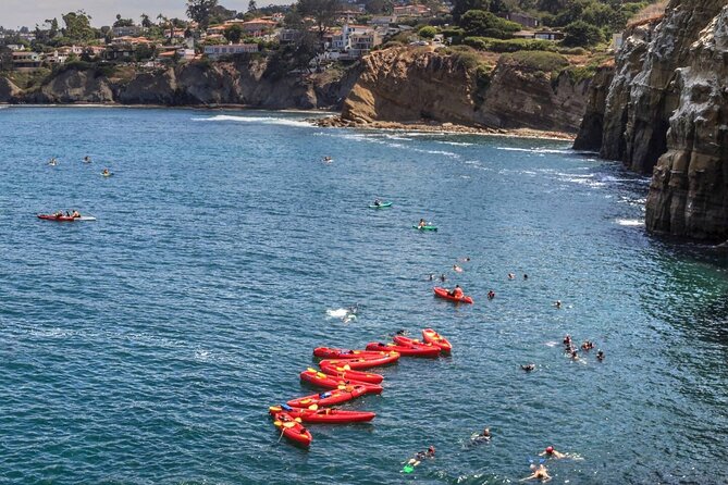 1.5 Hour Walking Tour from La Jolla in San Diego - Sea Cave and Coastal Legends