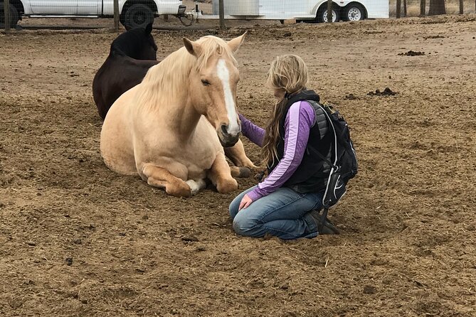 1.5 Hours Private Meditations with the Horses in Oregon - Who Should Consider This Experience?