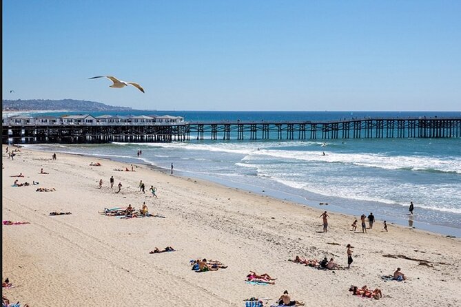 1 Day Adult Surf Retreat in San Diego - Who Would Love This Experience?