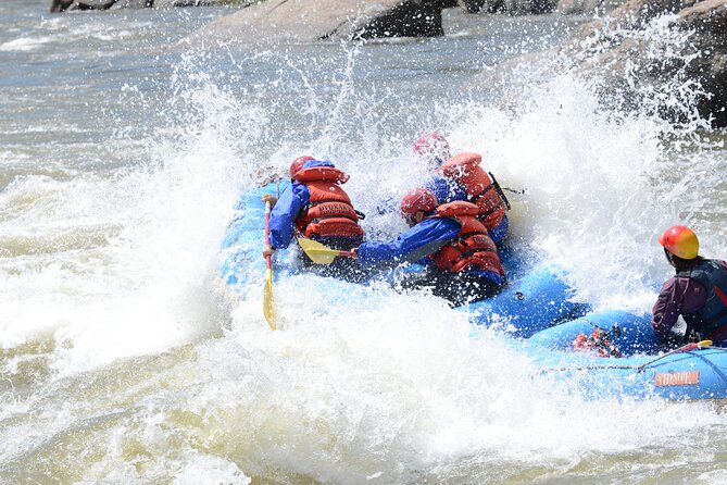 1-Day Arkansas River - Bighorn Sheep Canyon Trip - An Introduction to the Arkansas River Bighorn Sheep Canyon Trip