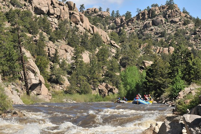 1-Day Arkansas River - Bighorn Sheep Canyon Trip - What Makes This Trip Stand Out?