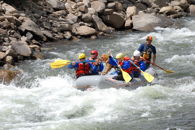 1-Day Arkansas River - Bighorn Sheep Canyon Trip - The Experience in Detail
