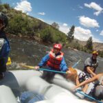 1-Day Arkansas River - Browns Canyon Rafting Trip - The Itinerary: What to Expect from Start to Finish