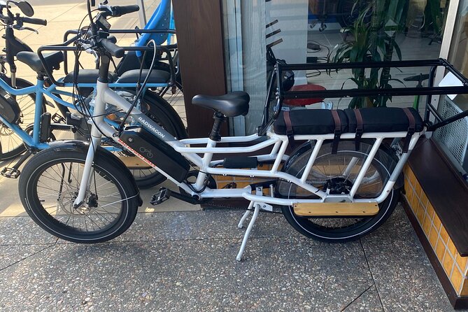 1 Day Electric Bike Rental in Solana Beach - The Experience in Detail