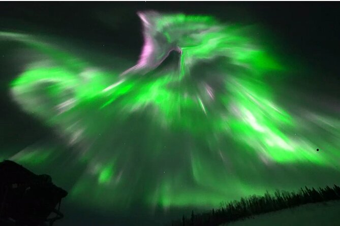 1 Day Shared Tour Arctic Circle and Aurora Viewing in Alaska - Final Thoughts