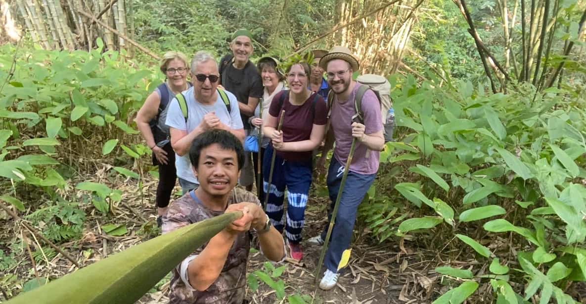 1 Day trekking : Chiang Rai popular activity,Fun in Nature. - Exploring the Scenic Itinerary
