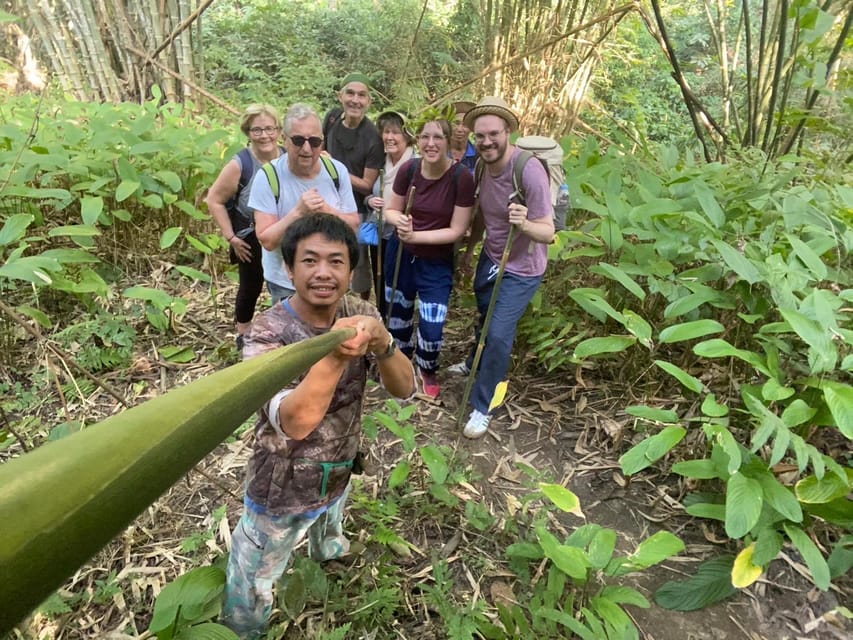 1 Day trekking : Chiang Rai popular activity,Fun in Nature. - Practical Details and What You Need to Know