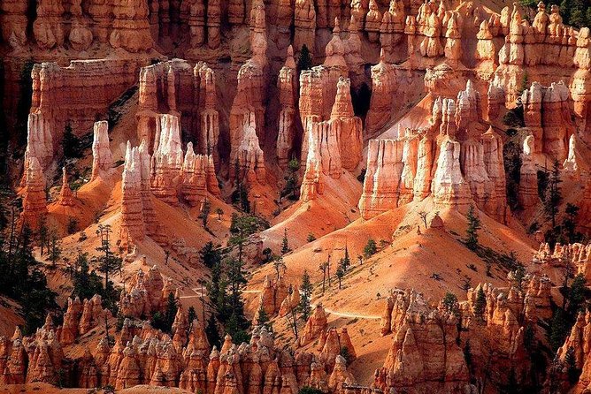 1-Day Zion & Bryce Canyon National Park Bus Tour - What You’ll Experience On Tour