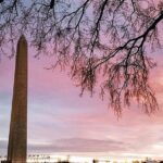 #1 DC Mall Tour w/ Washington Monument | Satisfaction Guaranteed! - Who Should Book This Tour?