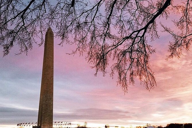 #1 DC Mall Tour w/ Washington Monument | Satisfaction Guaranteed! - Who Should Book This Tour?
