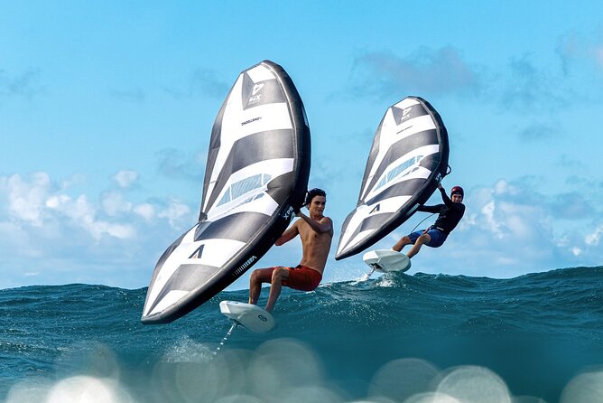 #1 eFoil 2 hr group + 2 hr wing foil or windsurf or kayak lesson - Introduction: What Makes This Water Sports Tour Stand Out