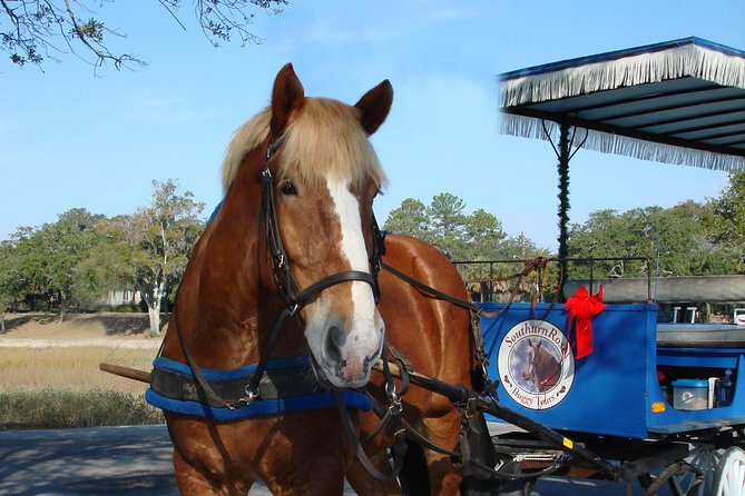 #1 Historical Horse Drawn Carriage Tour - Final Thoughts