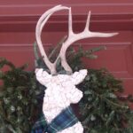 1 Hour Christmastide Walking Tour in Virginia Past and Present - What You Can Expect at Each Stop