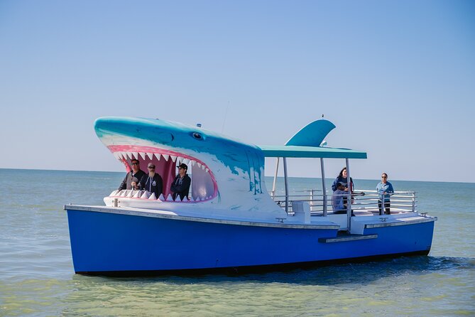 1-hour Dolphin Sightseeing Adventure Cruise from Madeira Beach - Final Thoughts: Who Will Love This Tour?
