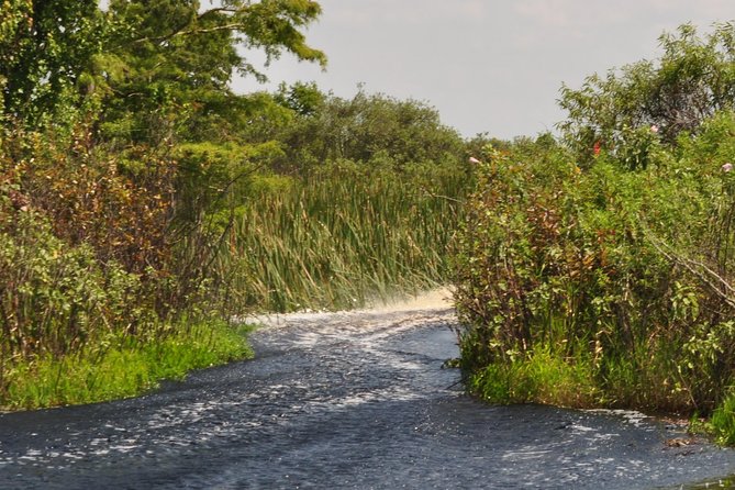 1 Hour Everglades Airboat Tour Central Florida - Final Thoughts  