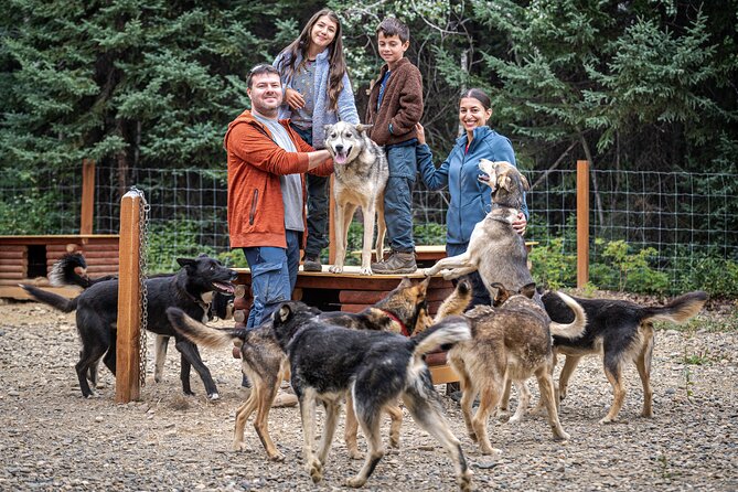 1 Hour Fall Sled Dog Experience in Two Rivers - The Sum Up