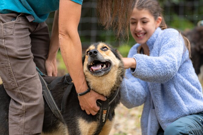 1 Hour Fall Sled Dog Experience in Two Rivers - Frequently Asked Questions