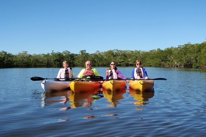 1 Hour Guided SUP/Kayak Tour in Pelican Bay at Fort Myers Beach - What makes this tour special?