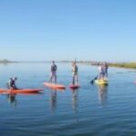 1 Hour Guided SUP/Kayak Tour in Pelican Bay at Fort Myers Beach - The itinerary: What you’ll see and do
