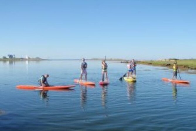 1 Hour Guided SUP/Kayak Tour in Pelican Bay at Fort Myers Beach - The itinerary: What you’ll see and do