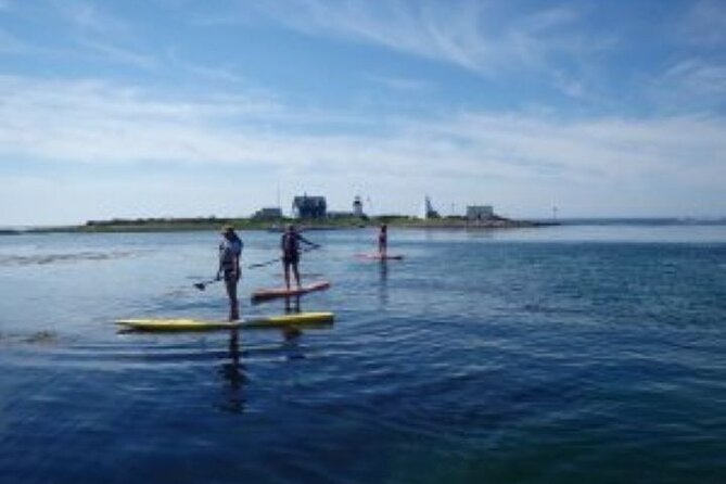 1 Hour Guided SUP/Kayak Tour in Pelican Bay at Fort Myers Beach - Pricing and value