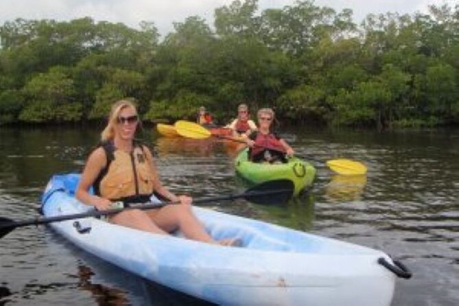 1 Hour Guided SUP/Kayak Tour in Pelican Bay at Fort Myers Beach - Practical tips for paddlers