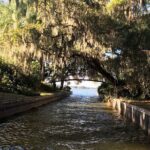 1 Hour Historical Wildlife Tour of The Famous Chain of Lakes - Final Thoughts: Is It Worth It?