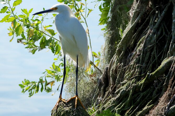 1 Hour Historical Wildlife Tour of The Famous Chain of Lakes - FAQs