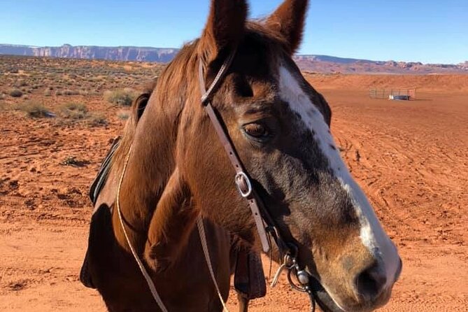 1 Hour Horseshoe Bend Trail Ride - Whats Included and Whats Not