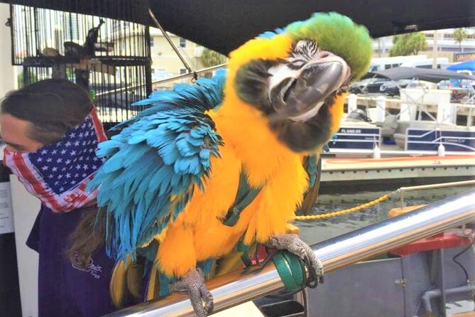 1-Hour Interactive Pirate Cruise (arrive 30 minutes early) - FAQ