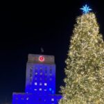 1 Hour Private Christmas Lights Tour in Houston - Houston’s Christmas Lights Tour: A Practical Look at the Festive Experience