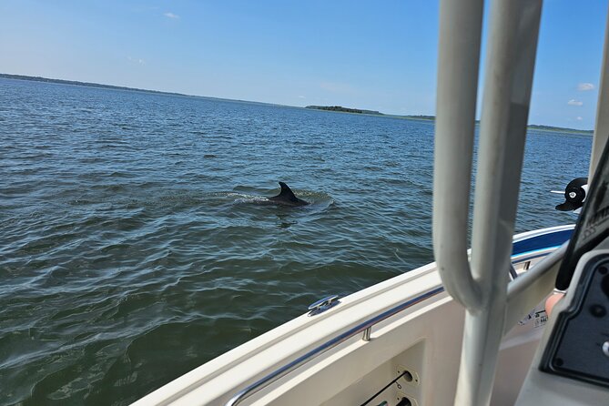 1 Hour Private Dolphin and Nature Tour - Exploring the Itinerary in Detail