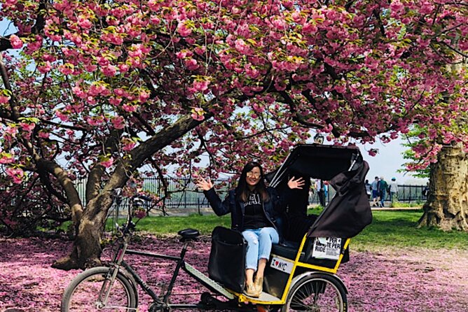 1 Hour Private Guided Pedicab Tour in New York City - Key Points