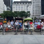 1 Hour Private Guided Pedicab Tour in New York City - The Realities: Strengths and Challenges