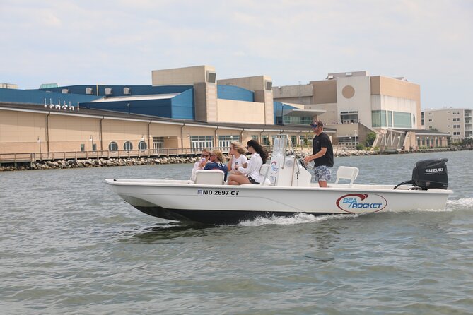 1-Hour Private Party Assateague Island Pony Cruise in Ocean City - Key Points