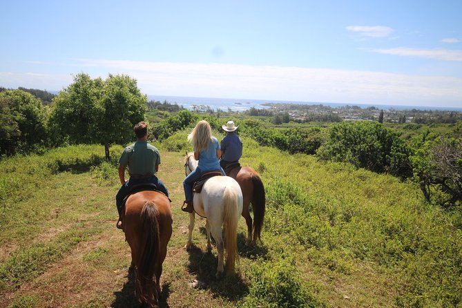 1 Hour Scenic Horseback Ride - An In-Depth Look at the Experience
