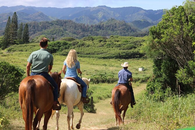 1 Hour Scenic Horseback Ride - Pricing and Value