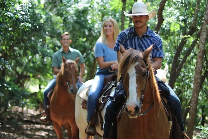 1 Hour Scenic Horseback Ride - Practical Tips for Booking and Enjoying